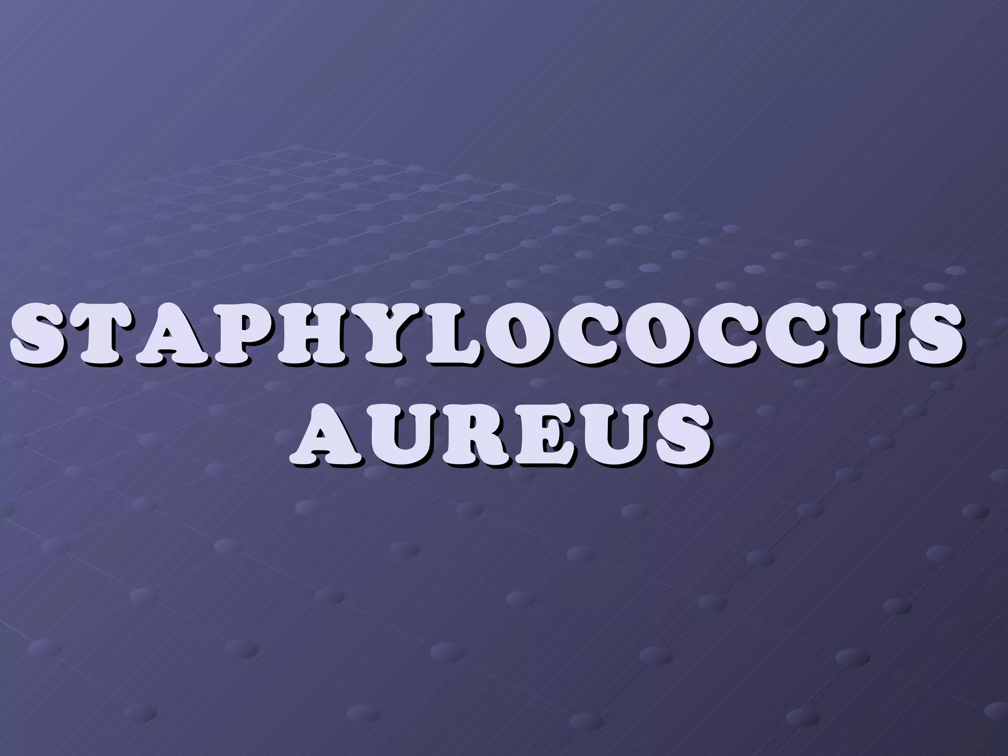 Staphylococcus aureus | PPT