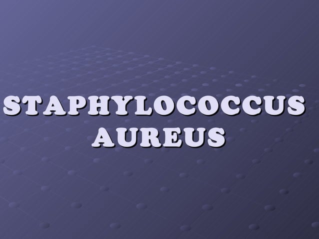 Staphylococcus aureus | PPT | Chemistry | Science