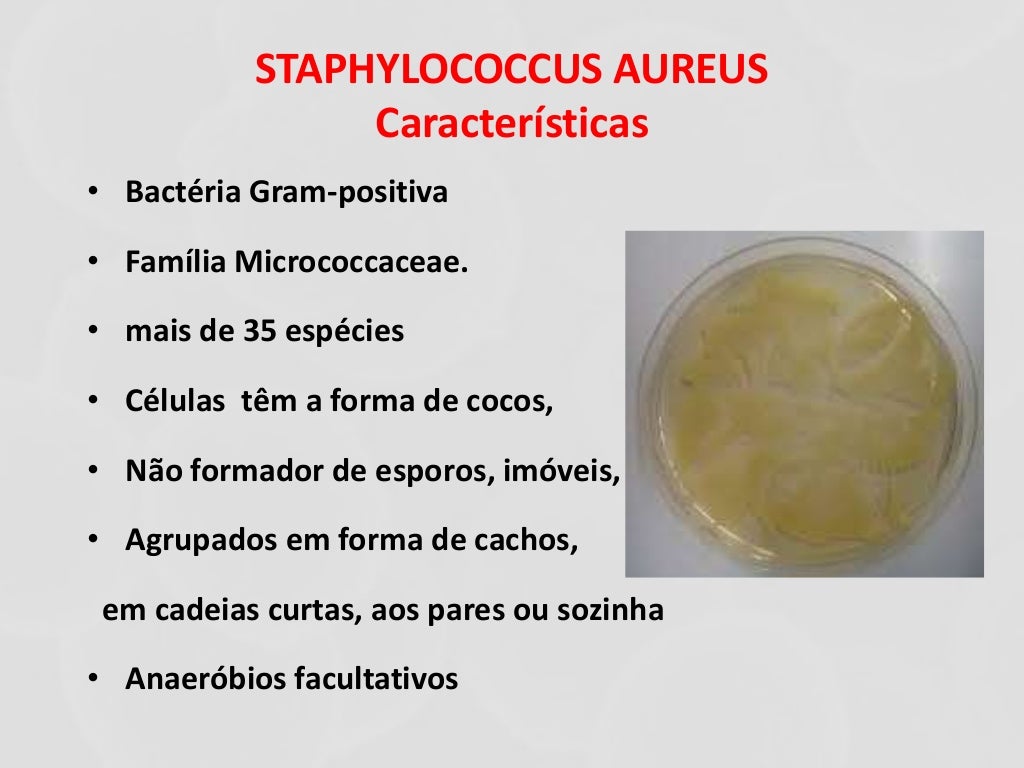 Staphylococcus aureus