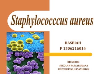 Staphylococcus aureus | PPT