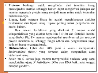 Staphylococcus aureus | PPT