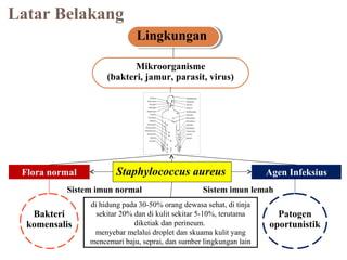 Staphylococcus aureus | PPT