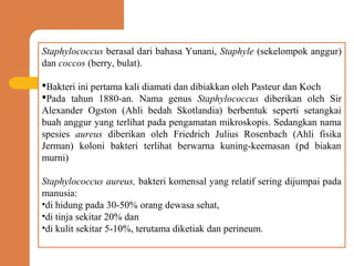 Staphylococcus aureus | PPT