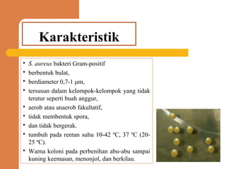 Staphylococcus aureus | PPT