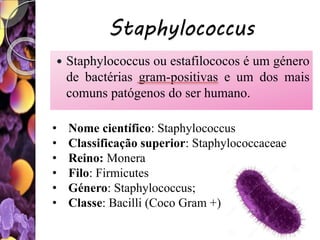 Staphylococcus aureus | PPT
