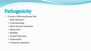 Staphylococcus aureus | PPTX | Infectious Diseases | Diseases and ...