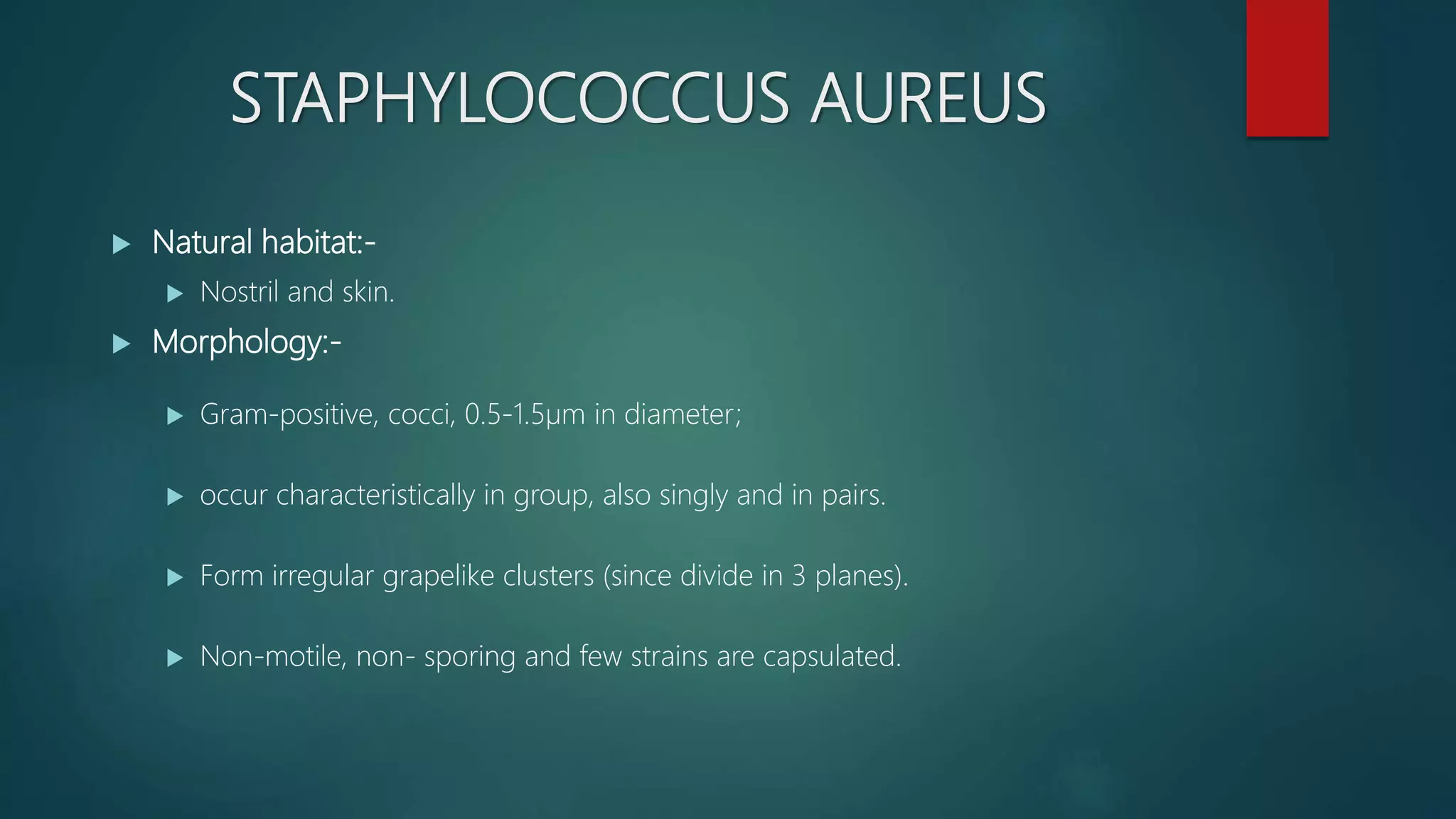 Staphylococcus aureus | PPTX