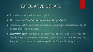 Staphylococcus aureus | PPTX | Skin and Dermatology | Diseases and ...