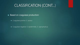 Staphylococcus aureus | PPTX | Skin and Dermatology | Diseases and ...