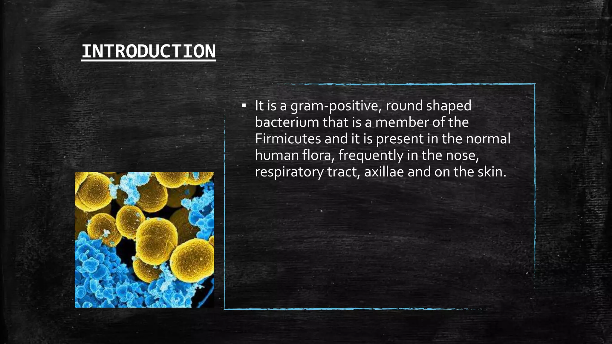 Staphylococcus aureus | PPTX