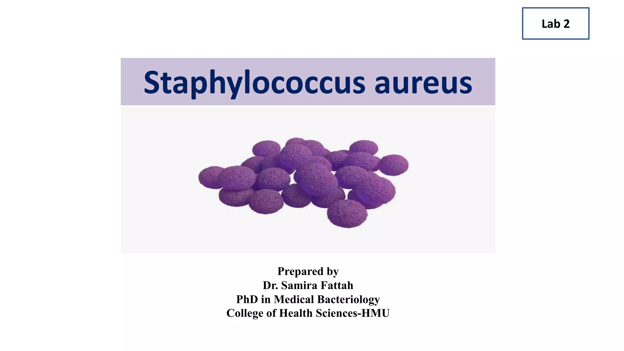 Diagnosis of Staphylococcus aureus (Updated ) | PPTX