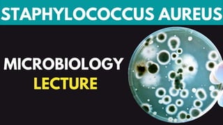 Staphylococcus Aureus Bacteria Microbiology Lecture | PPT