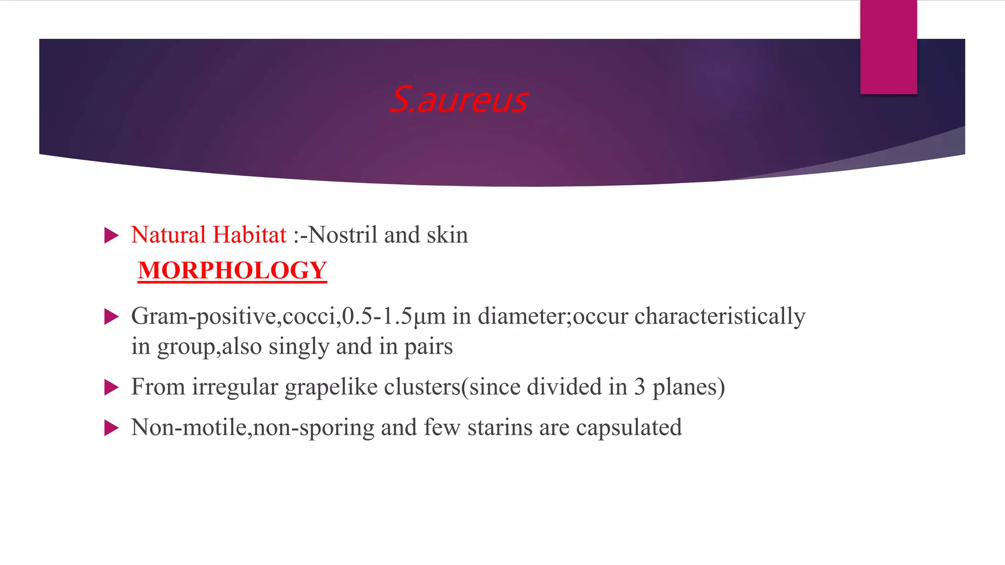 Staphylococcus aureus | PPTX