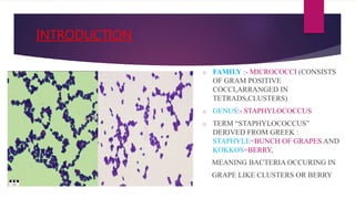 Staphylococcus aureus | PPTX