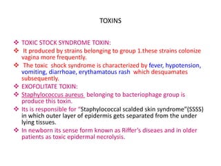 Staphylococcus aureus | PPTX