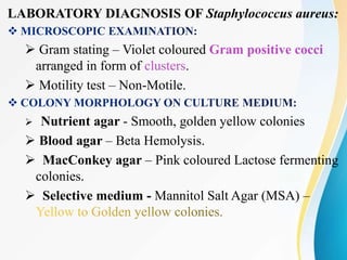 Staphylococcus aureus.pptx