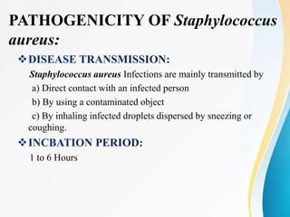 Staphylococcus aureus.pptx