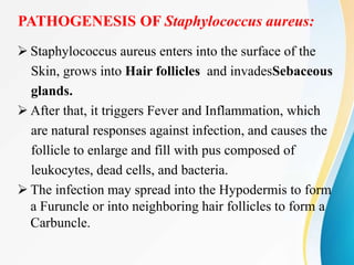 Staphylococcus aureus.pptx