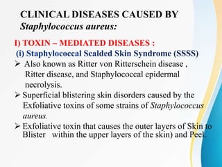 Staphylococcus aureus.pptx