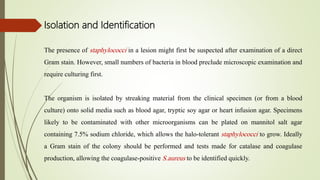Staphylococcus Aureus | PDF