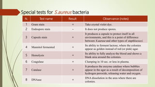 Staphylococcus Aureus | PDF