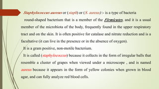 Staphylococcus Aureus | PDF