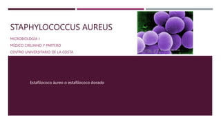 STAPHYLOCOCCUS AUREUS.pptx