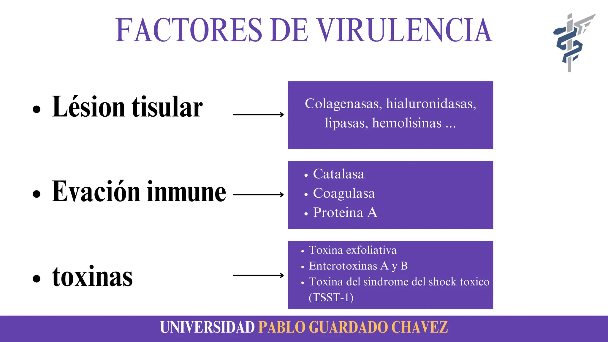 STAPHYLOCOCCUS AUREUS.pdf. Trabajo perdí | PDF