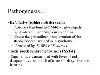Staphylococcus aureus2013.ppt
