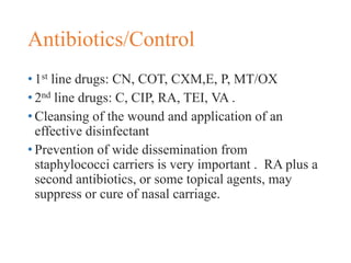 Staphylococcus aureus2013.ppt