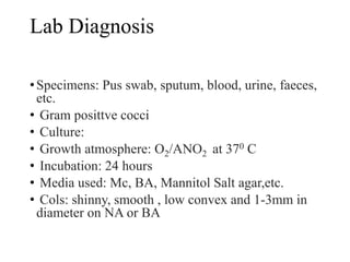 Staphylococcus aureus2013.ppt