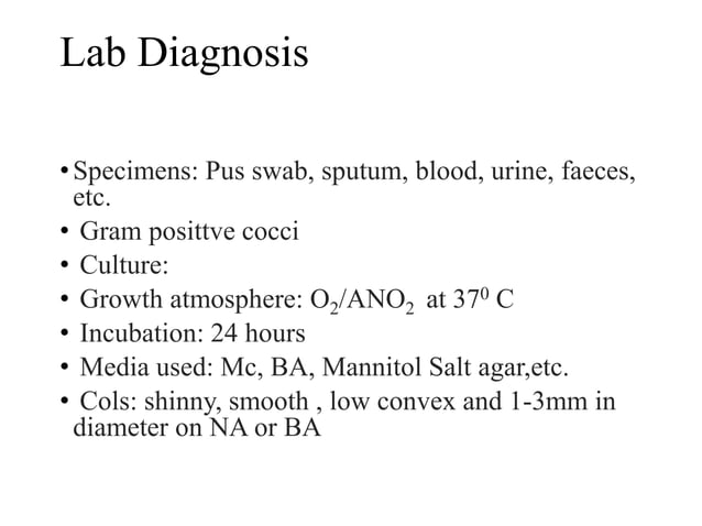 Staphylococcus aureus2013.ppt