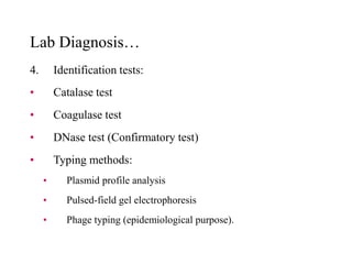 Staphylococcus aureus2013.ppt
