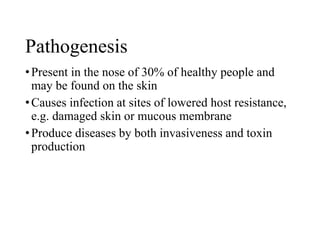 Staphylococcus aureus2013.ppt