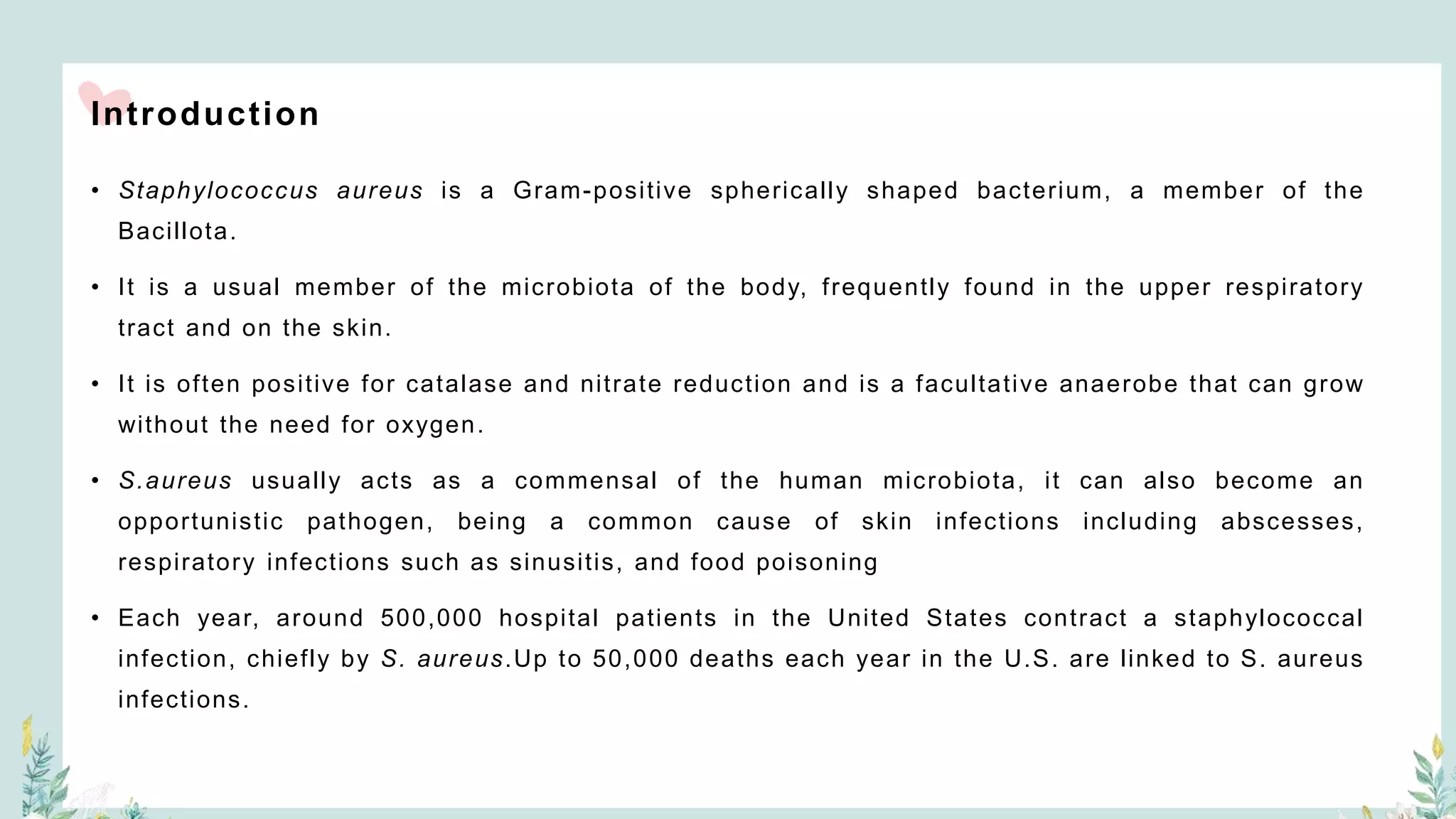 Staphylococcus aureus .pptx