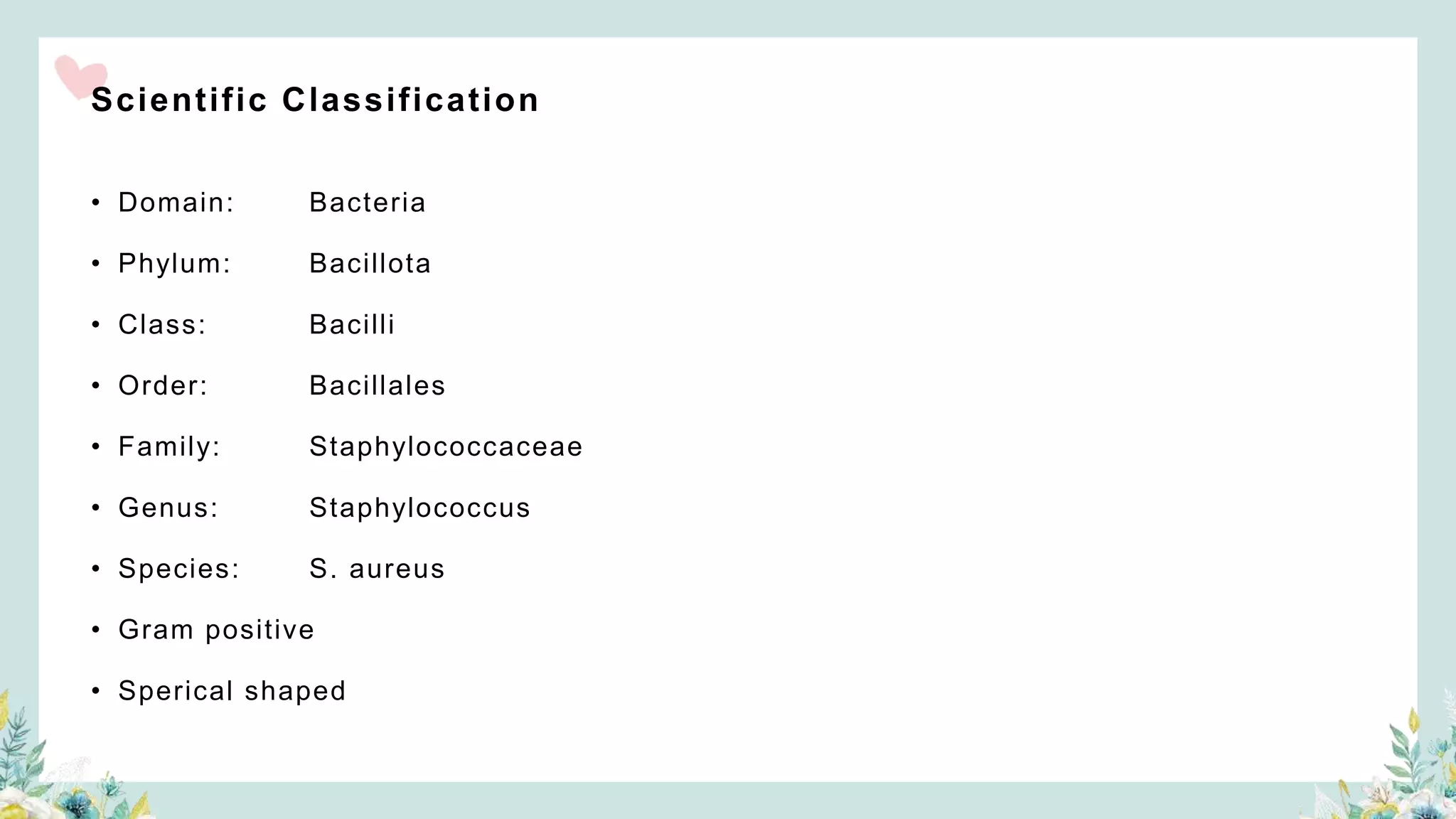 Staphylococcus aureus .pptx