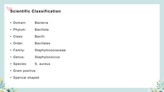 Staphylococcus aureus .pptx