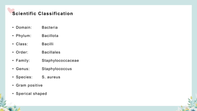Staphylococcus aureus .pptx