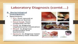STAPHYLOCOCCUS AUREUS Infection.pptx