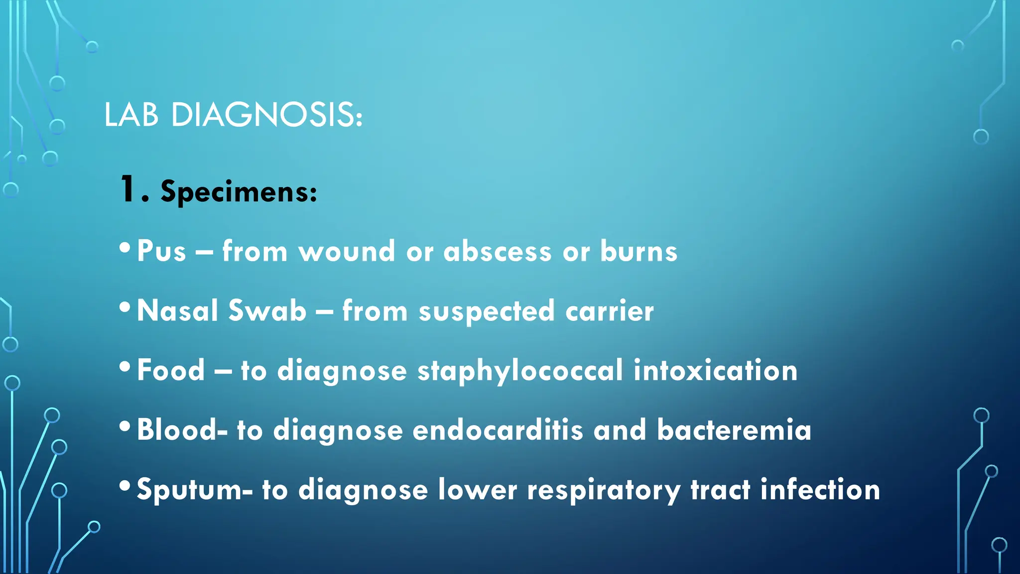 staphylococcus aureus from medical bacteriology | PPTX