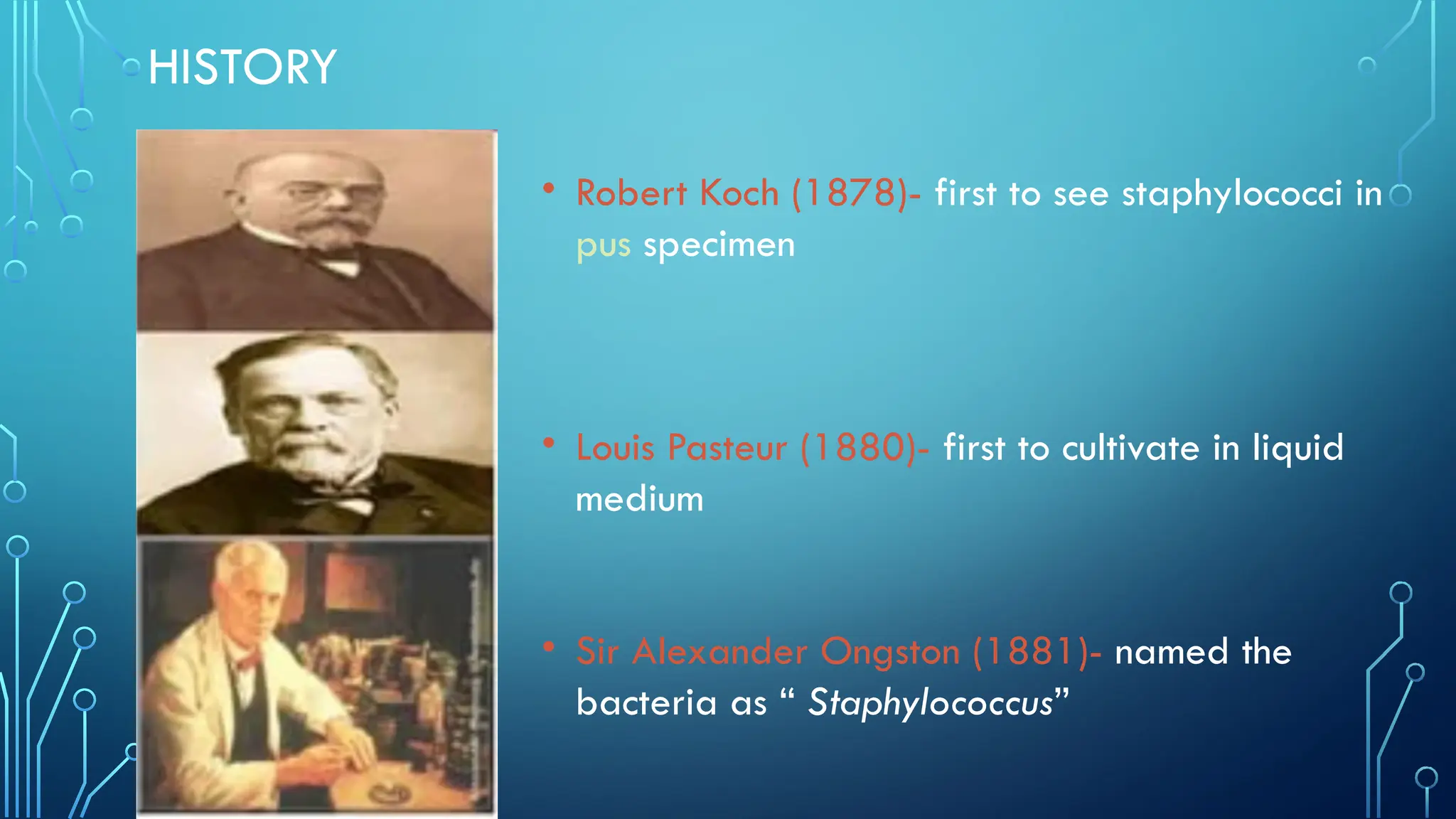 staphylococcus aureus from medical bacteriology | PPTX