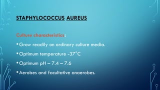 staphylococcus aureus from medical bacteriology | PPTX