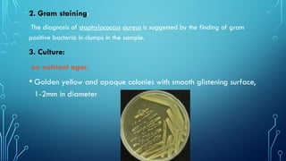 staphylococcus aureus from medical bacteriology | PPTX