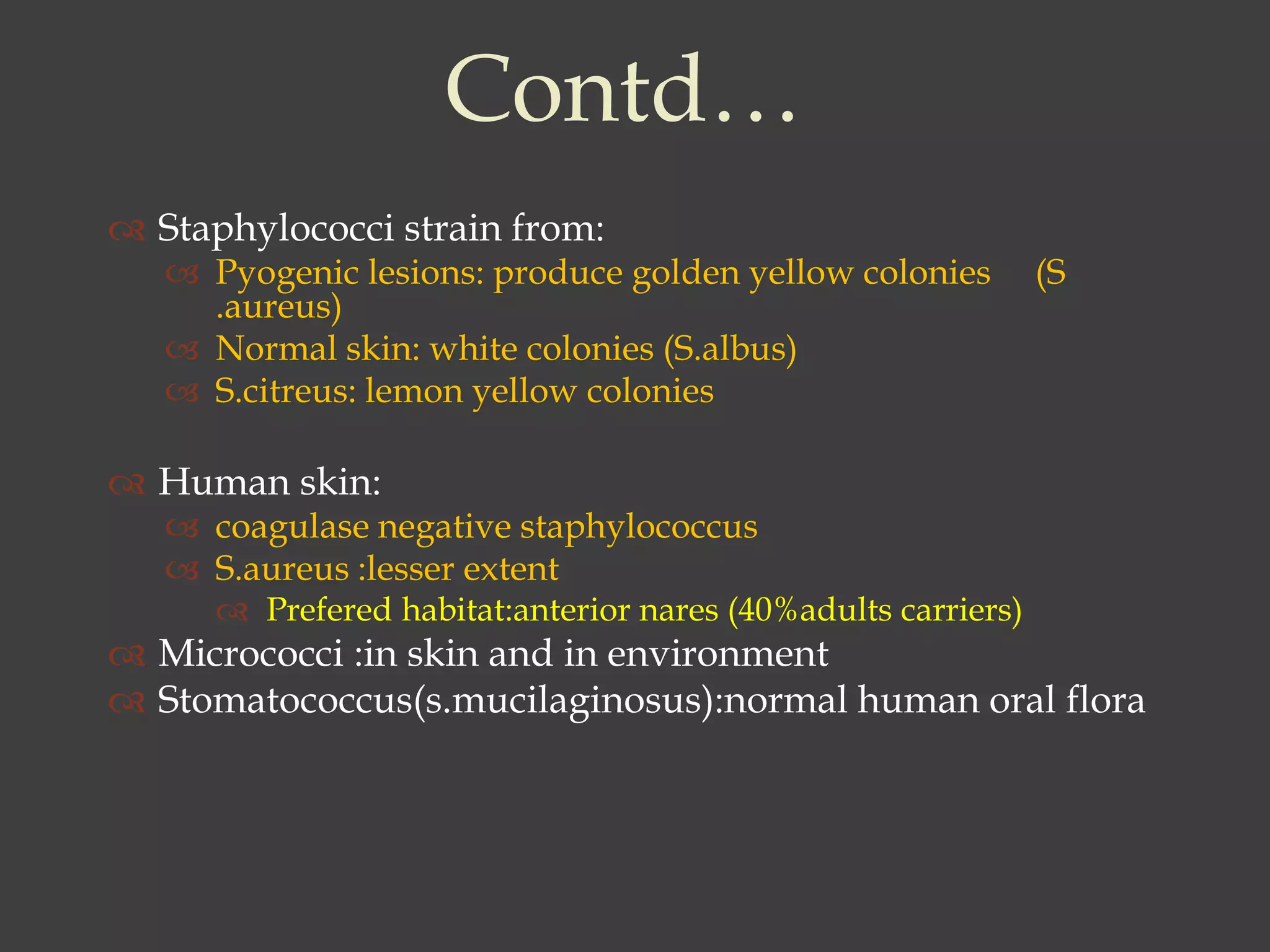 Staphylococcus by nissim | PPTX