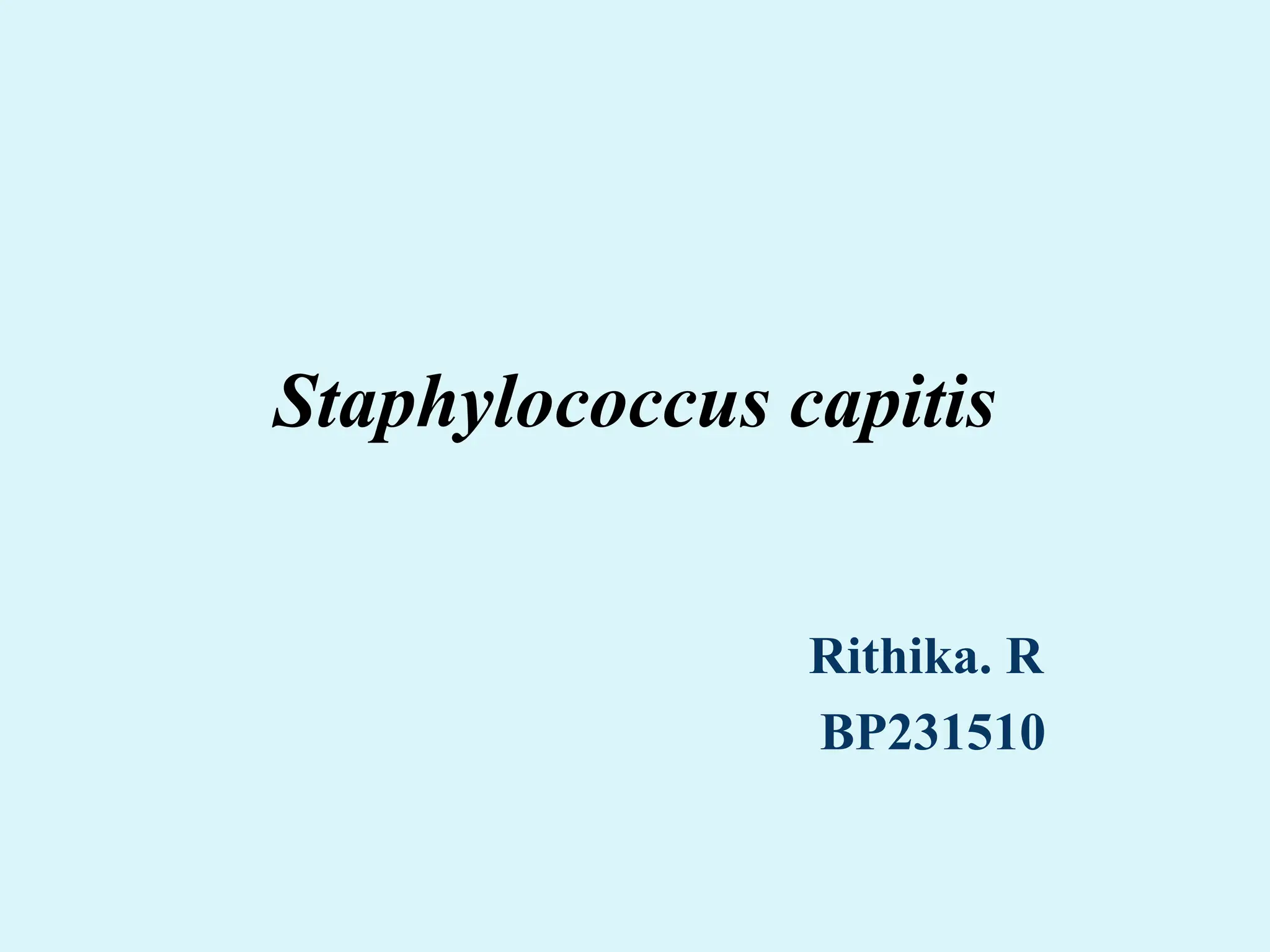 Staphylococcus capitis bacteria (1).pptx