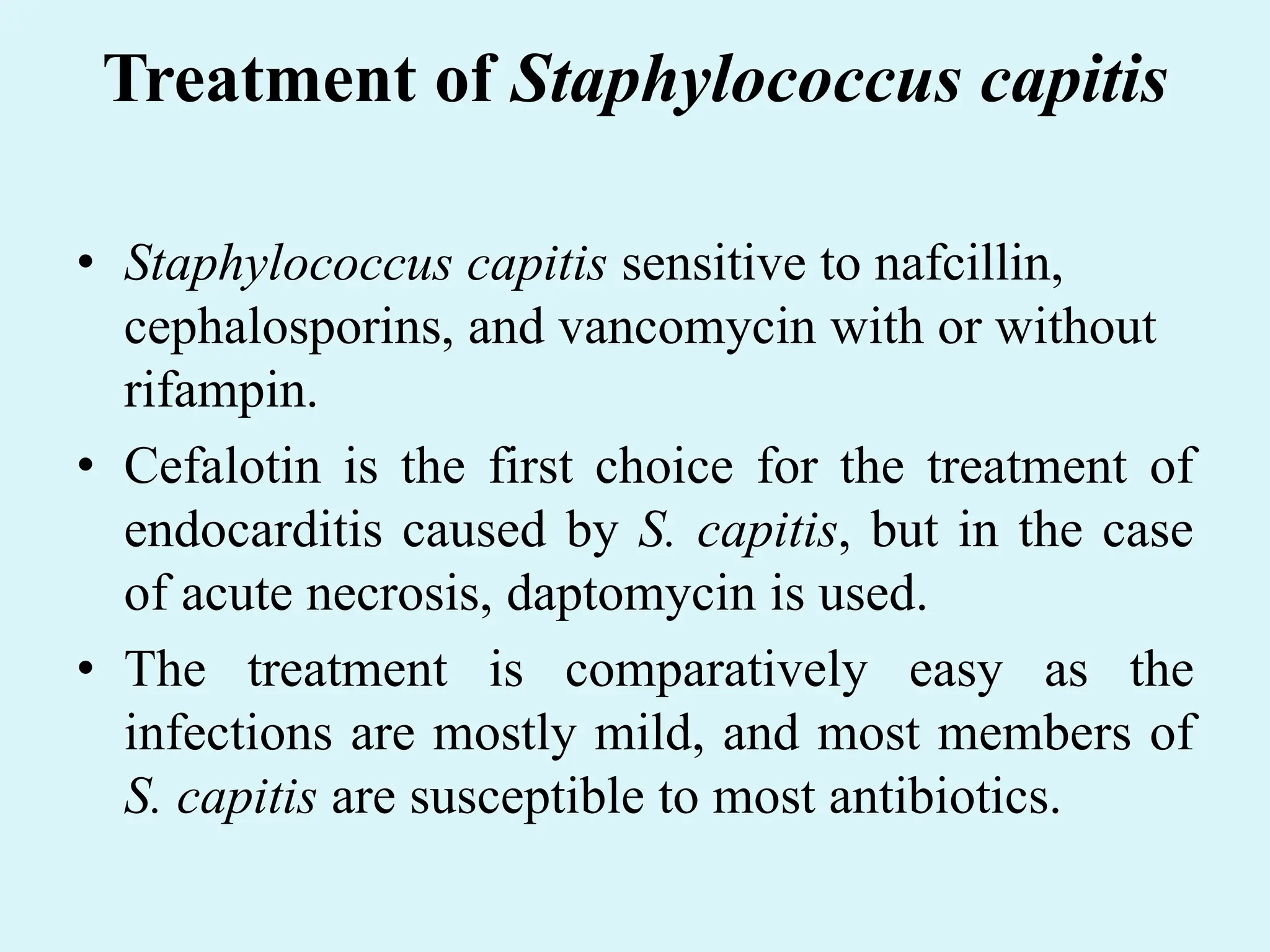 Staphylococcus capitis bacteria (1).pptx
