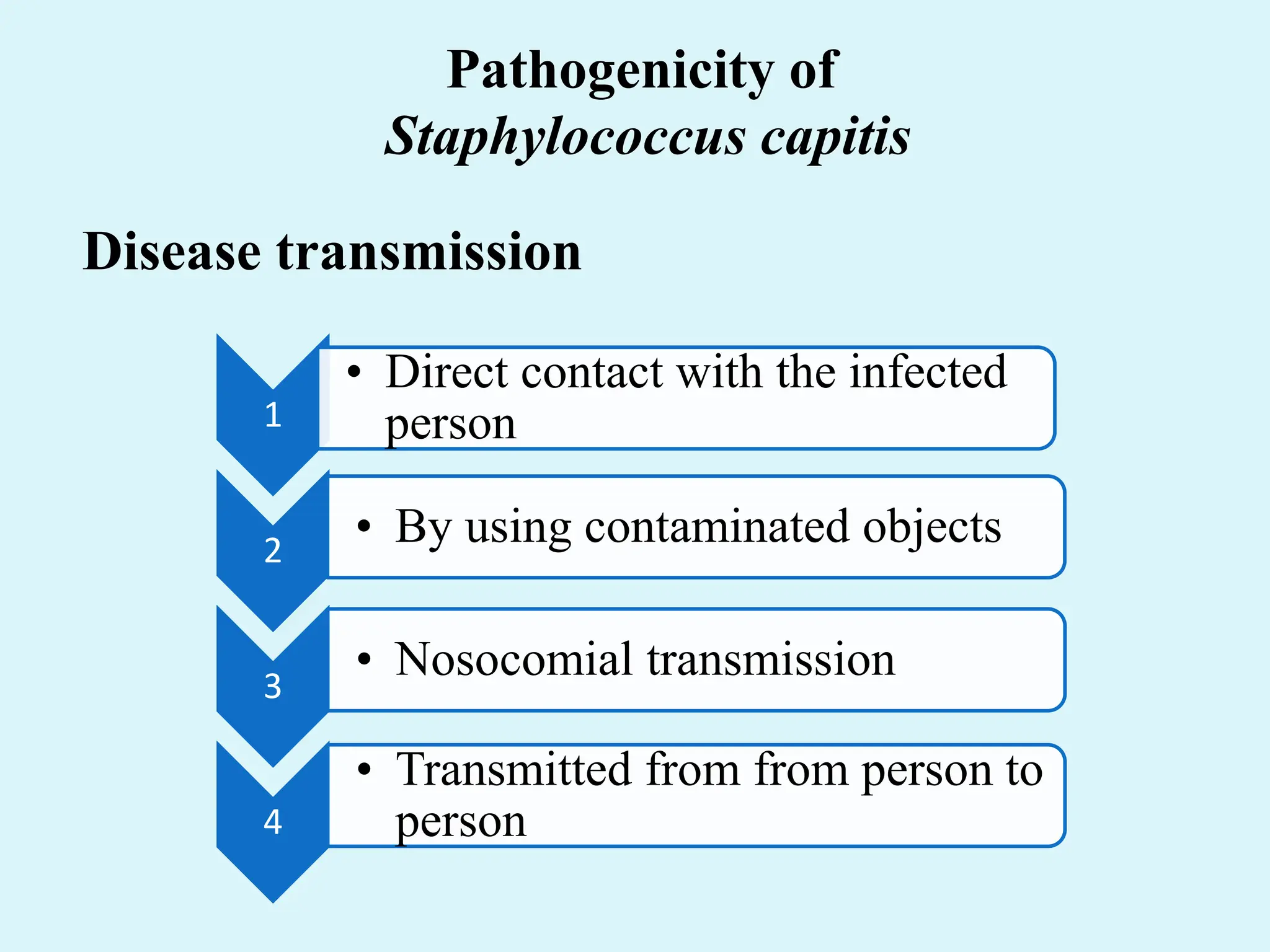 Staphylococcus capitis bacteria (1).pptx