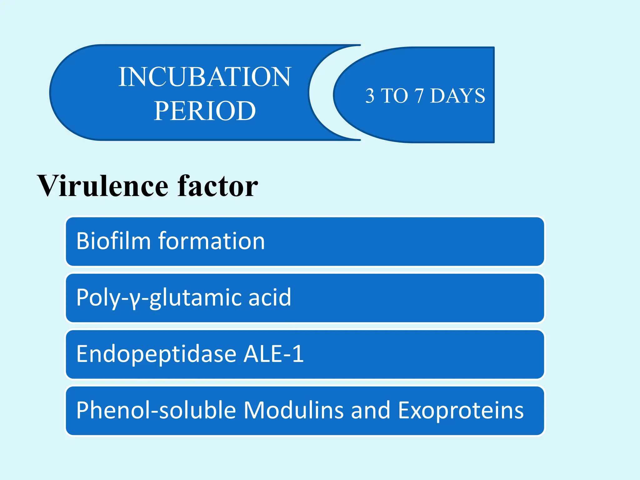 Staphylococcus capitis bacteria (1).pptx