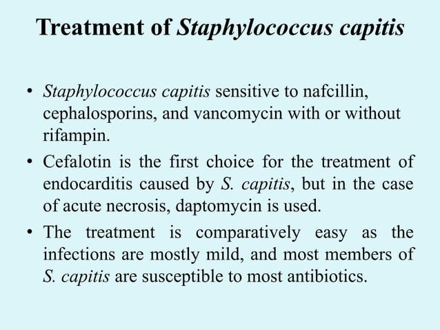 Staphylococcus Capitis Bacteria 1 Pptx