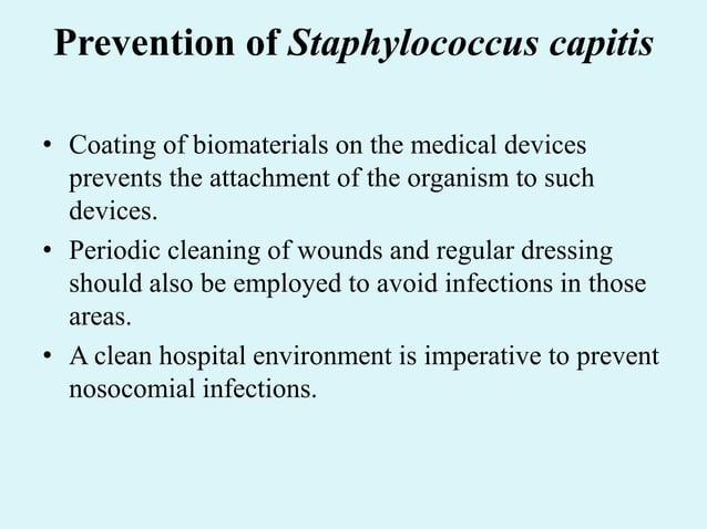 Staphylococcus capitis bacteria (1).pptx
